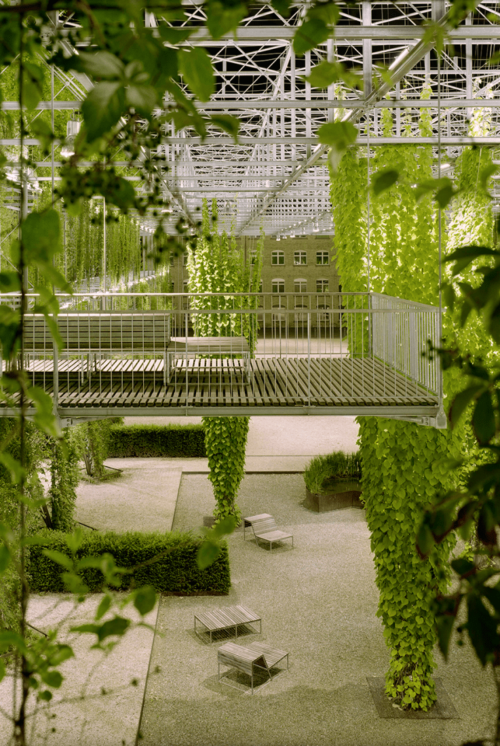 MFO Park – REGENERATIVEDESIGN.WORLD